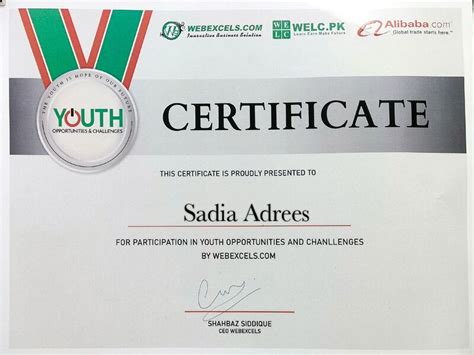 Sadia Adrees On Linkedin Webexcels Youth Challanges Opportunities