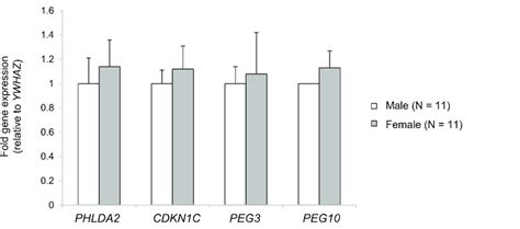 Sex Differences In Placental Imprinted Gene Expression Mean Fold Gene