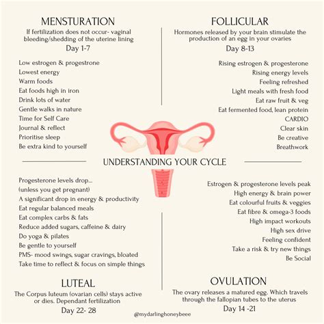 Understanding Your Menstrual Cycle A Holistic Approach
