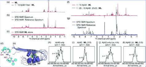 A−g Interaction Of Ml With Fibrillar Aβ40 Species By Saturation Download Scientific Diagram
