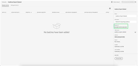create a dataset for exporting an audience adobe experience platform