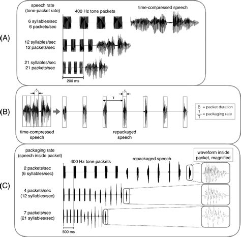Figure 1 From The Possible Role Of Brain Rhythms In Perceiving Fast