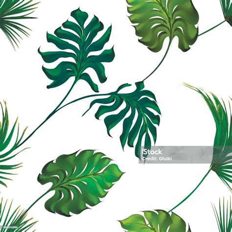 열 대 야 자 나뭇잎 그려진 벡터 컬렉션 완벽 한 패턴입니다 0명에 대한 스톡 벡터 아트 및 기타 이미지 0명 금 금속 꽃무늬 Istock