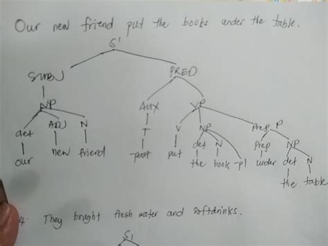 Solved Draw Phrase Structure Trees To Represent The Following Course Hero