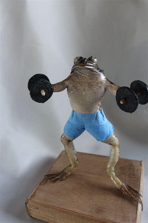 Bad Crap Weird Taxidermy Artofit