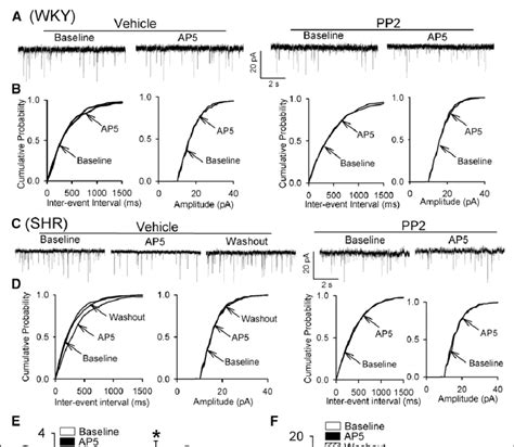 Src Contributes To Increased Presynaptic N Methyl D Aspartate Receptor Download Scientific