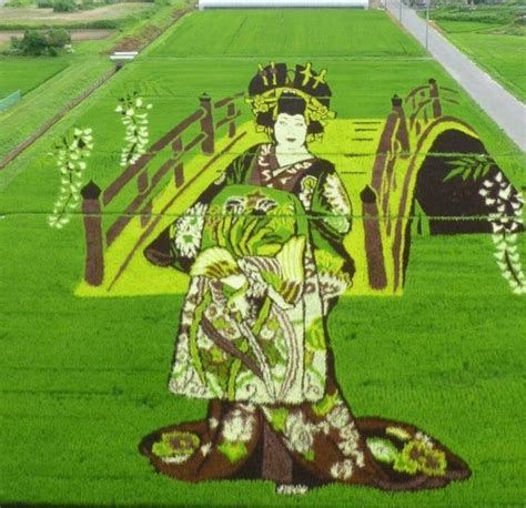Rice Paddy Art A Sustainable Way To Celebrate Nature Arigato Travel