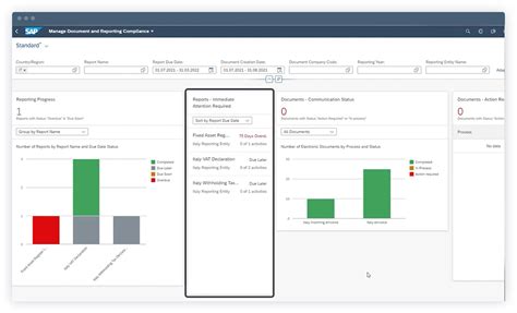 Quick Start Service For SAP Document And Reporting Compliance