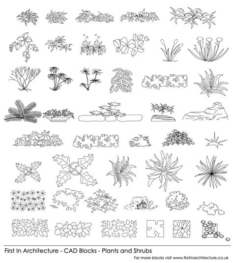 Plants And Flowers Elevation Dwg Elevation For Autocad