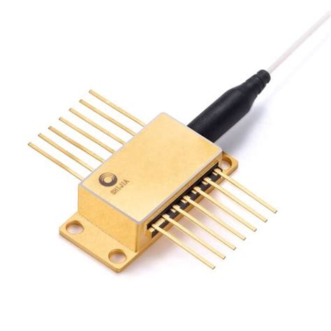 Pre Terminated Trunks Shijia Photons