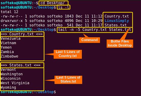 The Tail Command In Linux 7 Practical Examples LinuxSimply