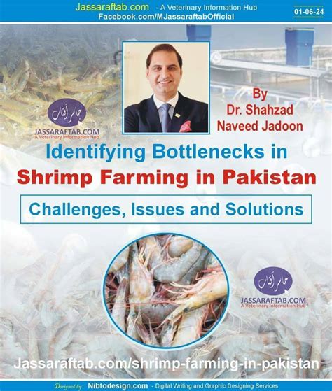 Shrimp Farming In Pakistan Challenges Issues Solutions