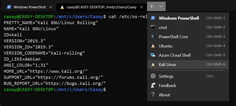 Customize The Windows Terminal Like A Boss Casey Mullineaux