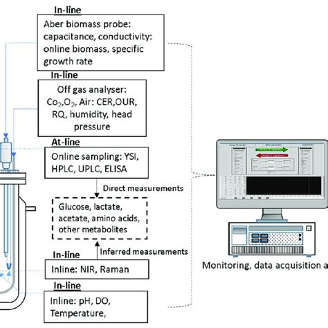 Pdf Bioprocess Control Current Progress And Future Perspectives