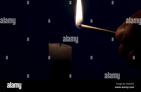 Snuffle Stock Videos And Footage Hd And 4k Video Clips Alamy