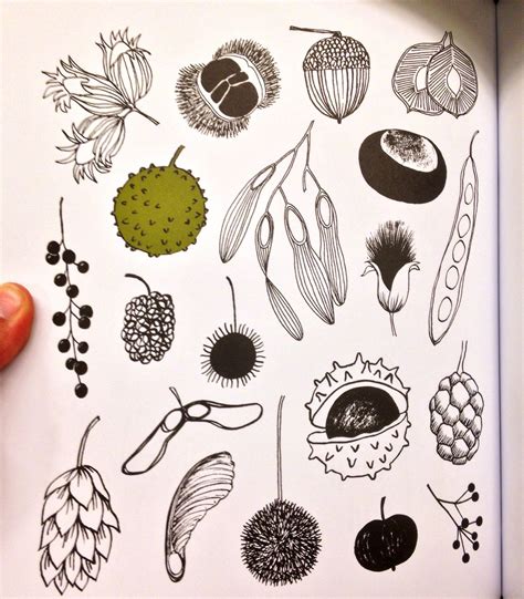 20 Ways To Draw A Tree By Eloise Renouf