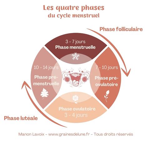 Dhea Et Cycle Menstruel At Marshall Hite Blog