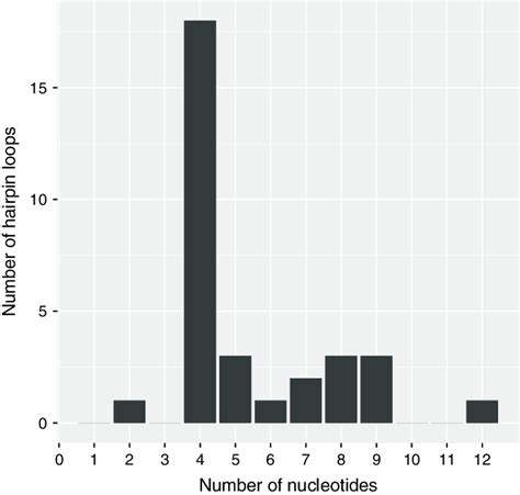 distribution of hairpin loop hl sizes in 16s rrna histogram of hl