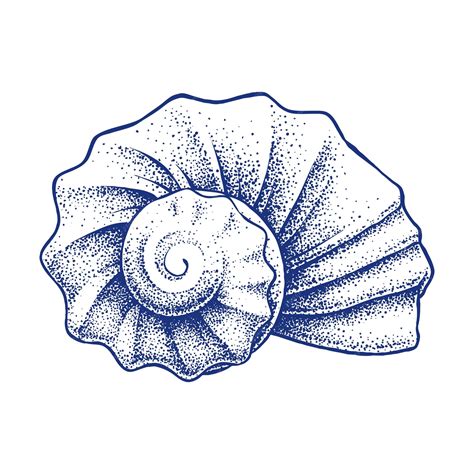 Desenho à Mão De Uma Concha Do Mar Vetor Premium