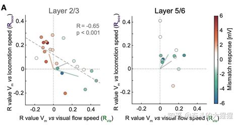 关于预测性编码 Predictive Coding 常见的几点误解 知乎