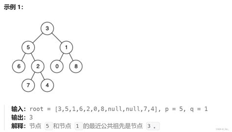 力扣hot100 236 二叉树的最近公共祖先 csdn博客