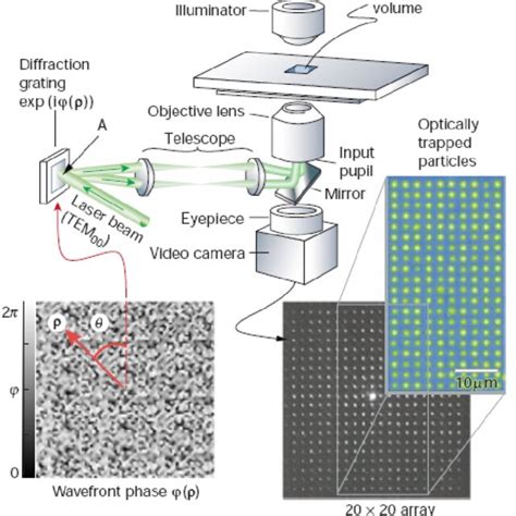 1 Schematic Illustration Of Optical Trapping Download Scientific Diagram