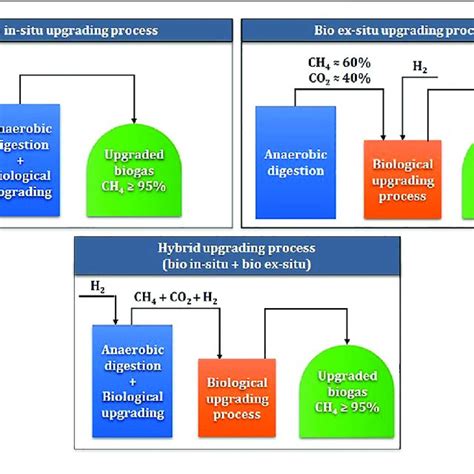Conceptual Diagram Of In Situ Ex Situ And Hybrid Biological