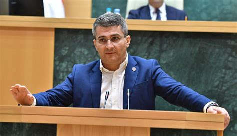 მამუკა მდინარაძე გავრისკეთ და უკრაინას ყველა პლატფორმაზე მათ შორის რუსეთის ჰააგაში