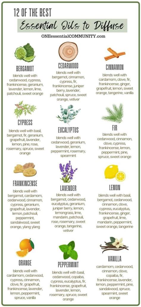 How To Use Essential Oil Diffuser