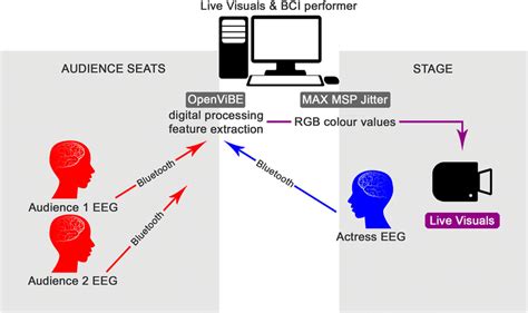 The Passive Multi Brain EEG Based BCI System Vectors Of Human Profiles Download Scientific