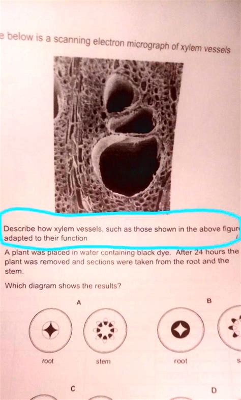 solved help please i m stuck life sciences below is a scanning