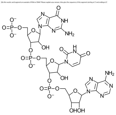 Solved Is This Nucleic Acid Segment An Example Of RNA Or Chegg