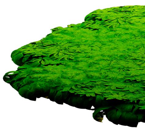 Mouse Parallax Wonderland Wow Showroom