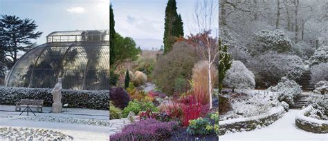 Winterize Gardens At George Tarenorerer Blog