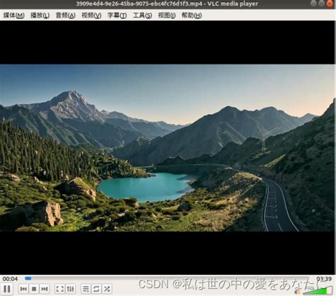 Python爬虫学习第二天（wget的使用） Csdn博客