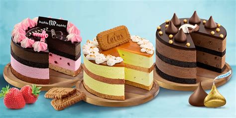 Baskin Robbins Ice Cream Cake Slice