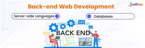 Web Development Roadmap How To Become A Web Developer