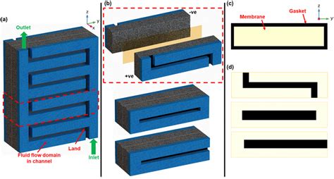 a 3d cell fluid flow domain with sample interdigitated flow field