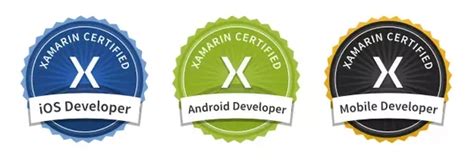 Xamarin Shell Complex Navigation And Mvvmlight Xamarin World Help And Skills