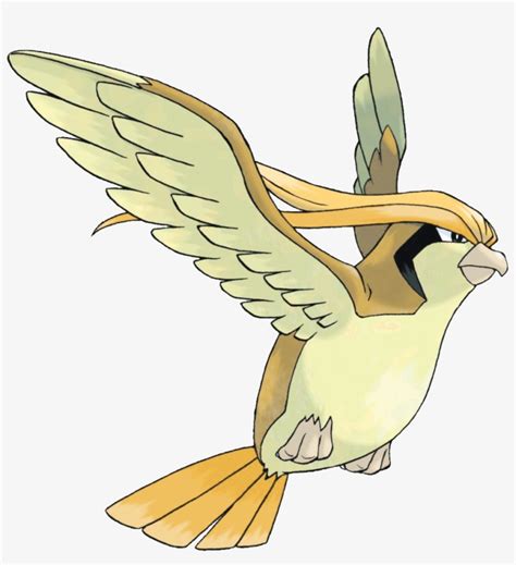 018 Pidgeot Shiny Pokemon Pidgeot 969x1015 Png Download Pngkit