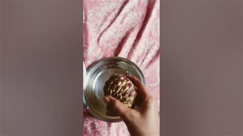 Seetha Palam Youtube