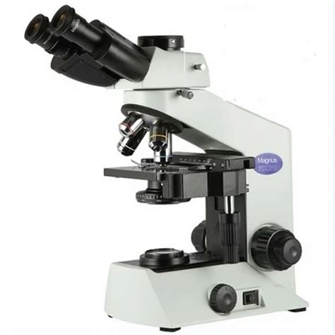 Magnus Mx 21i Trinocular Led Microscope At ₹ 68182 Scientific Research Microscope In New Delhi