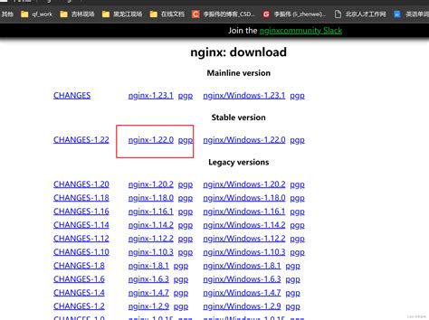 Fastdfs Nginx安全漏洞cve 2021 23017修复cve 2021 23017漏洞复现 Csdn博客