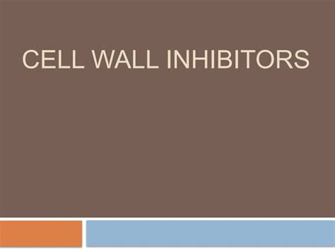 Session 3 Cell Wall Synthesis Inhibitorpptx