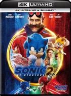Sonic Drone Home 2022 The Internet Animation Database
