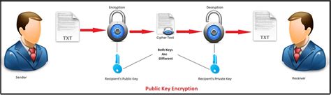 28 public key cryptosystem scheme download scientific diagram