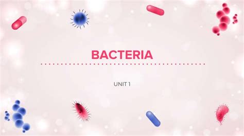 Bacteria Morphological Classificationpptx