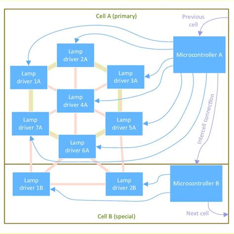 Special Localization Cell Example Download Scientific Diagram