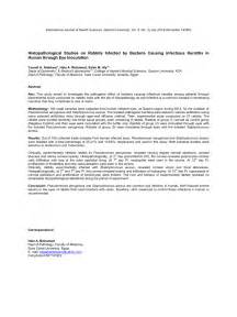 Pdf Histopathological Studies On Rabbits Infected By Bacteria Causing