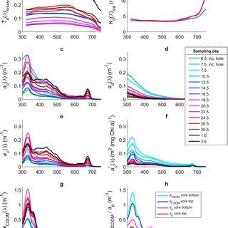Absorption And Diffuse Attenuation Coefficients And Spectral Download Scientific Diagram